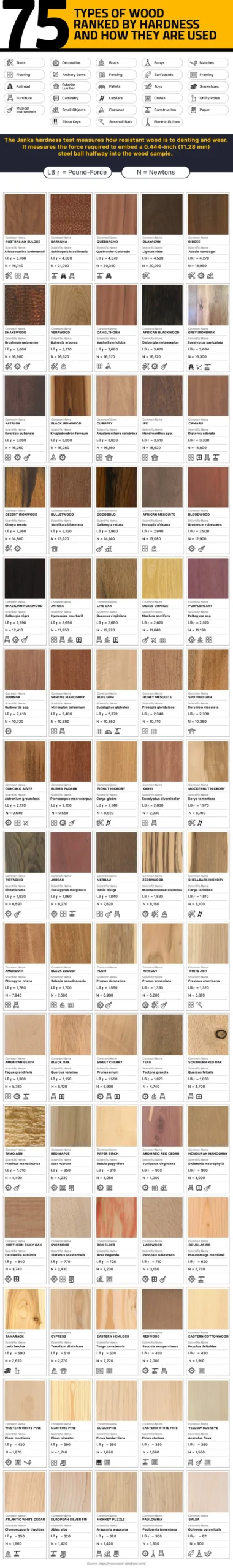 75 Hardest Woods Ranked: Why Metal Might be the Better Choice